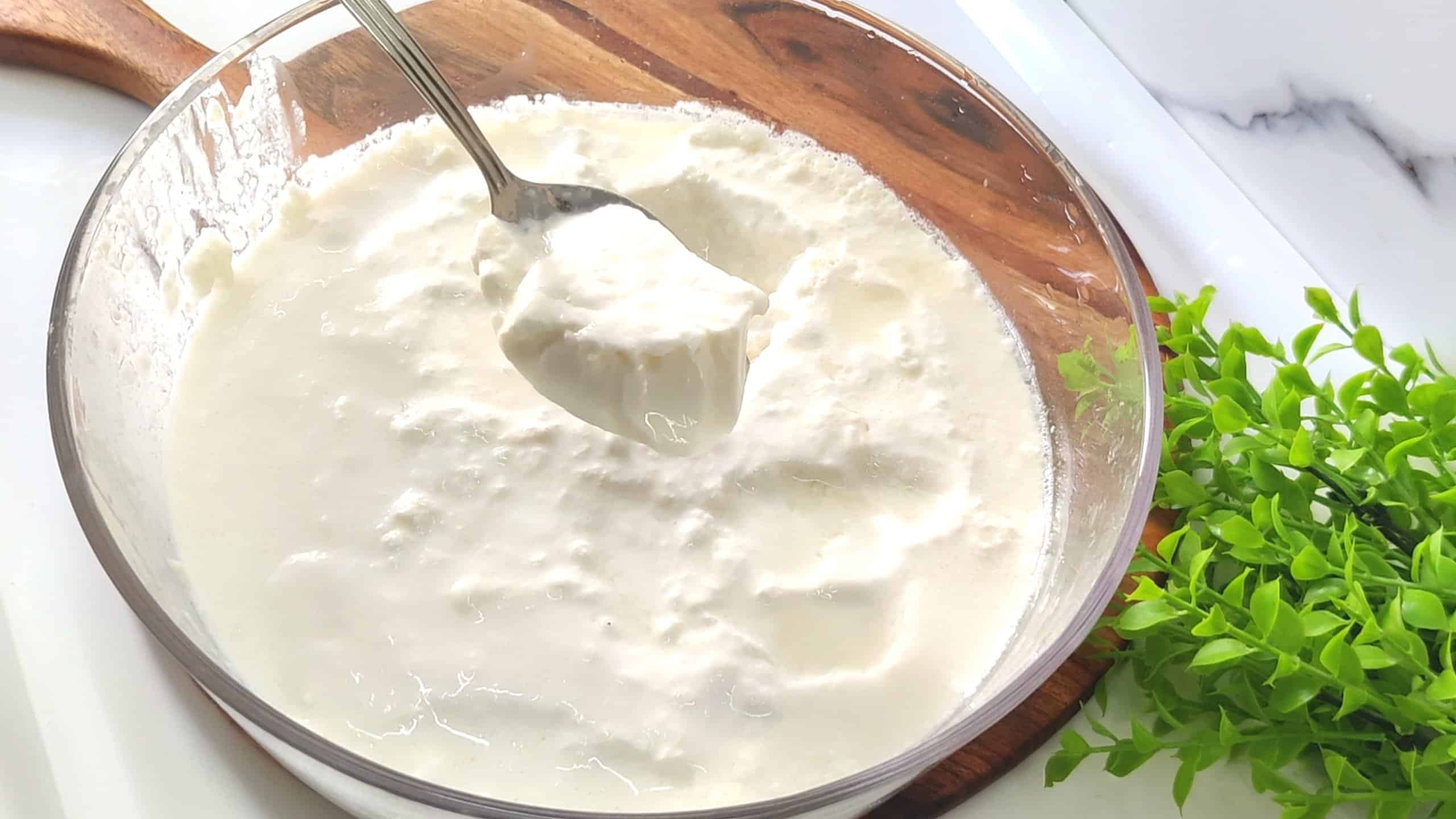 Indian Ghee Recipe: A Journey to the Heart of Indian Cooking - Paatti's ...