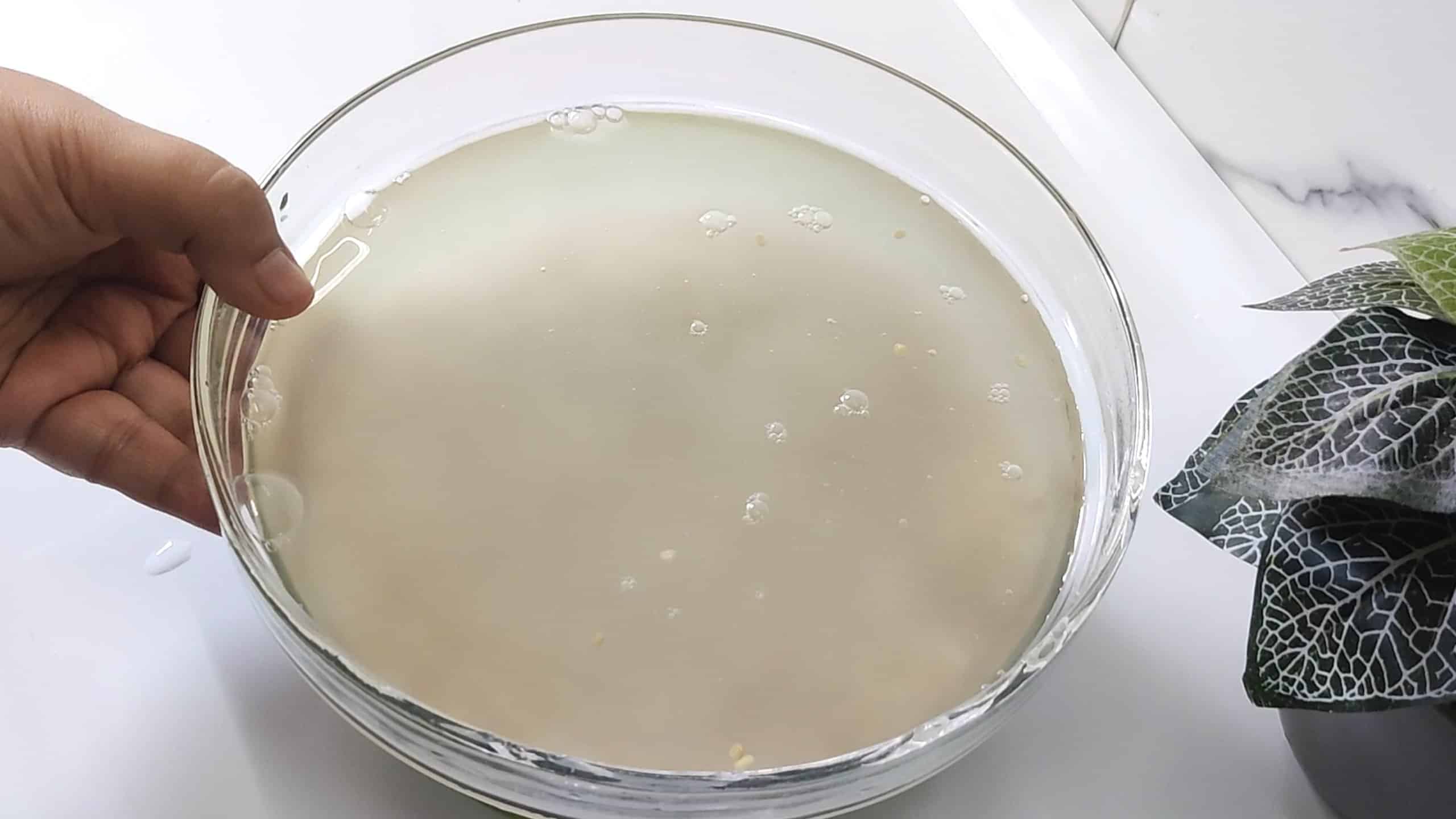 Instant Pot Idli Recipe: The Complete Guide - Paatti's Kitchen