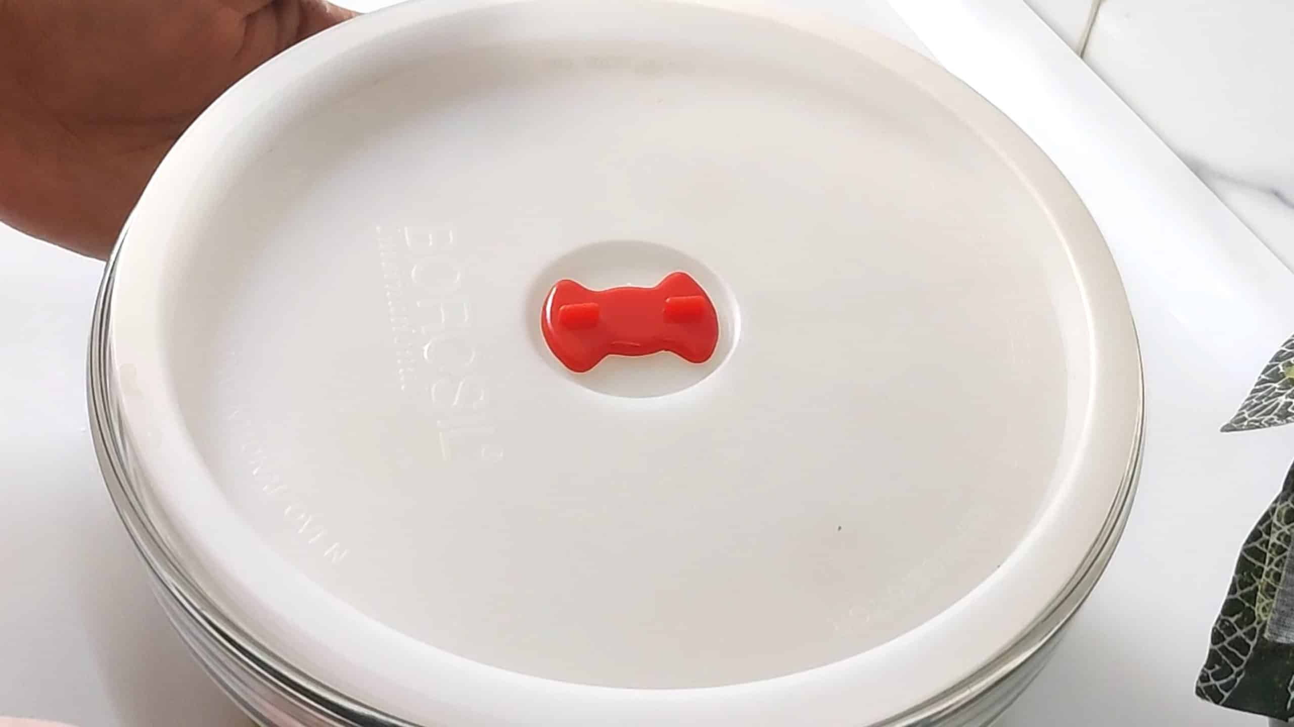 Instant Pot Idli Recipe: The Complete Guide - Paatti's Kitchen